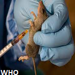 Factors associated with late presentation for Lassa fever treatment ...