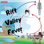 Knowledge and practices on Rift Valley fever among livestock farmers ...