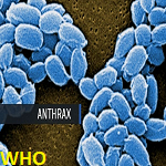 Risk factors for human anthrax outbreak in Kiruhura District ...