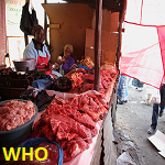 Informal and formal meat marketing in Ibadan, Nigeria: public health ...
