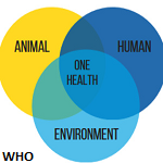 One health: harmonizing infection prevention and control, and ...